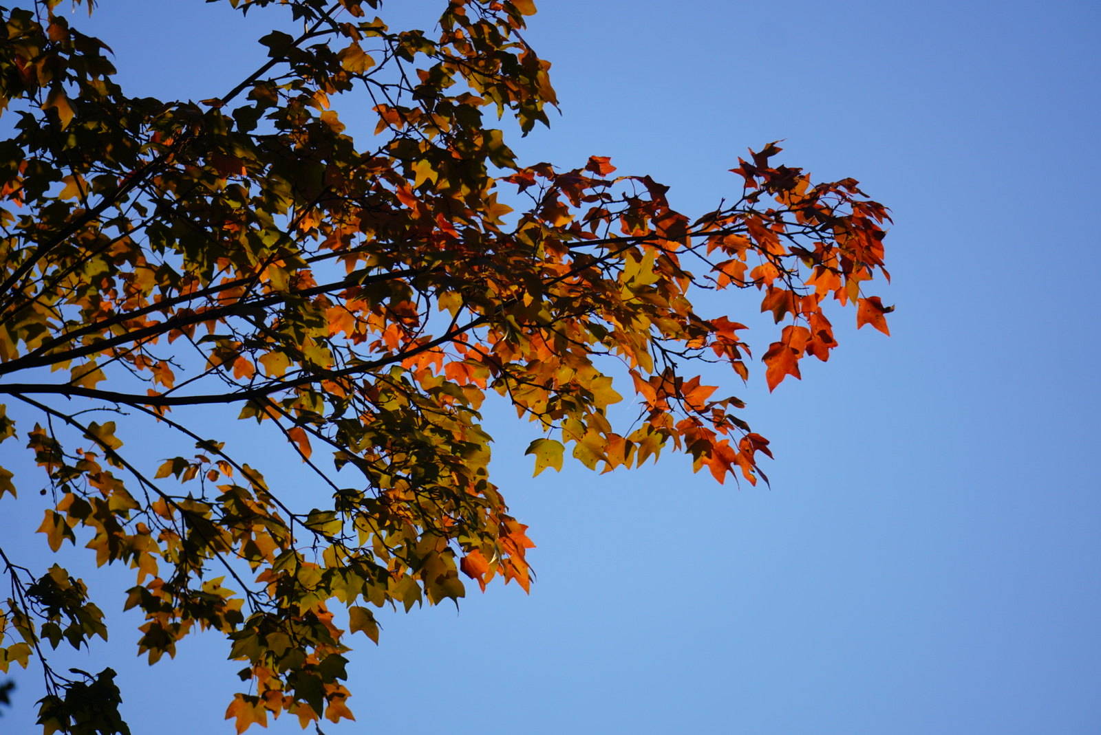 Today's forecast: Perfectly pleasant weather with gradual warming trend ...